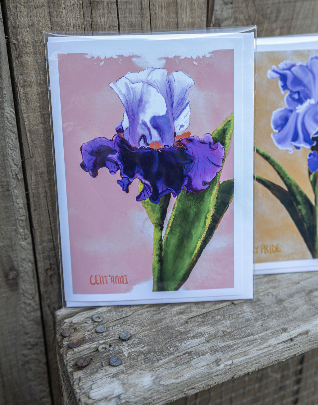 Stationery: Jill Myer Cards 5x7 – Schreiner's Gardens